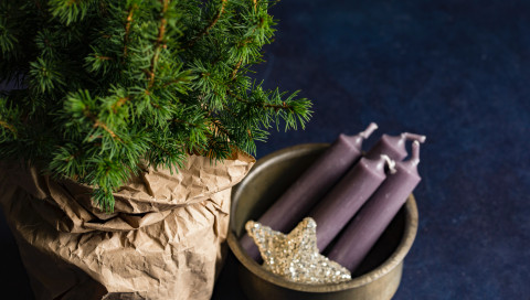 Catéchèse & Catéchuménat